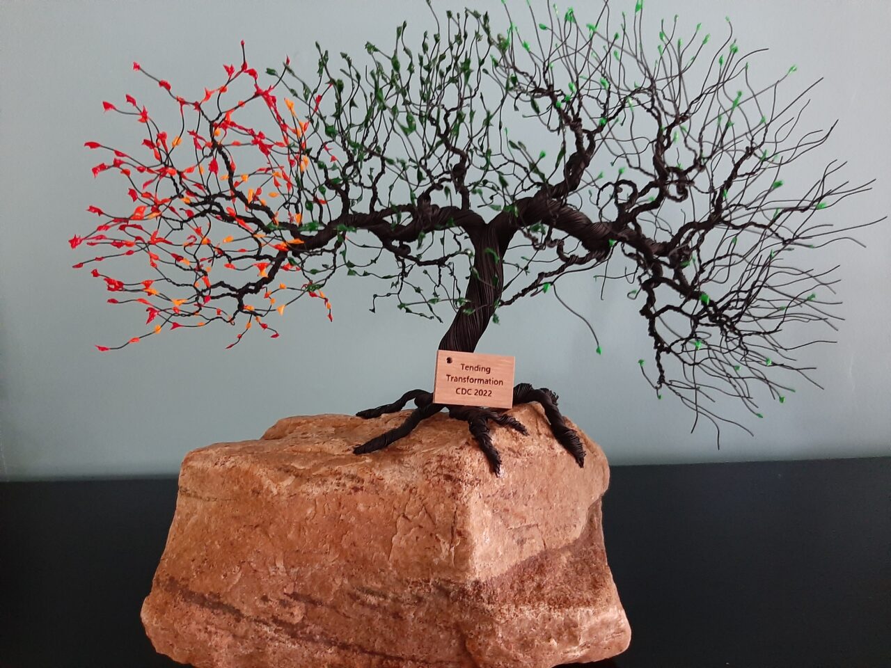 2023 Annual Meeting | Central District Conference